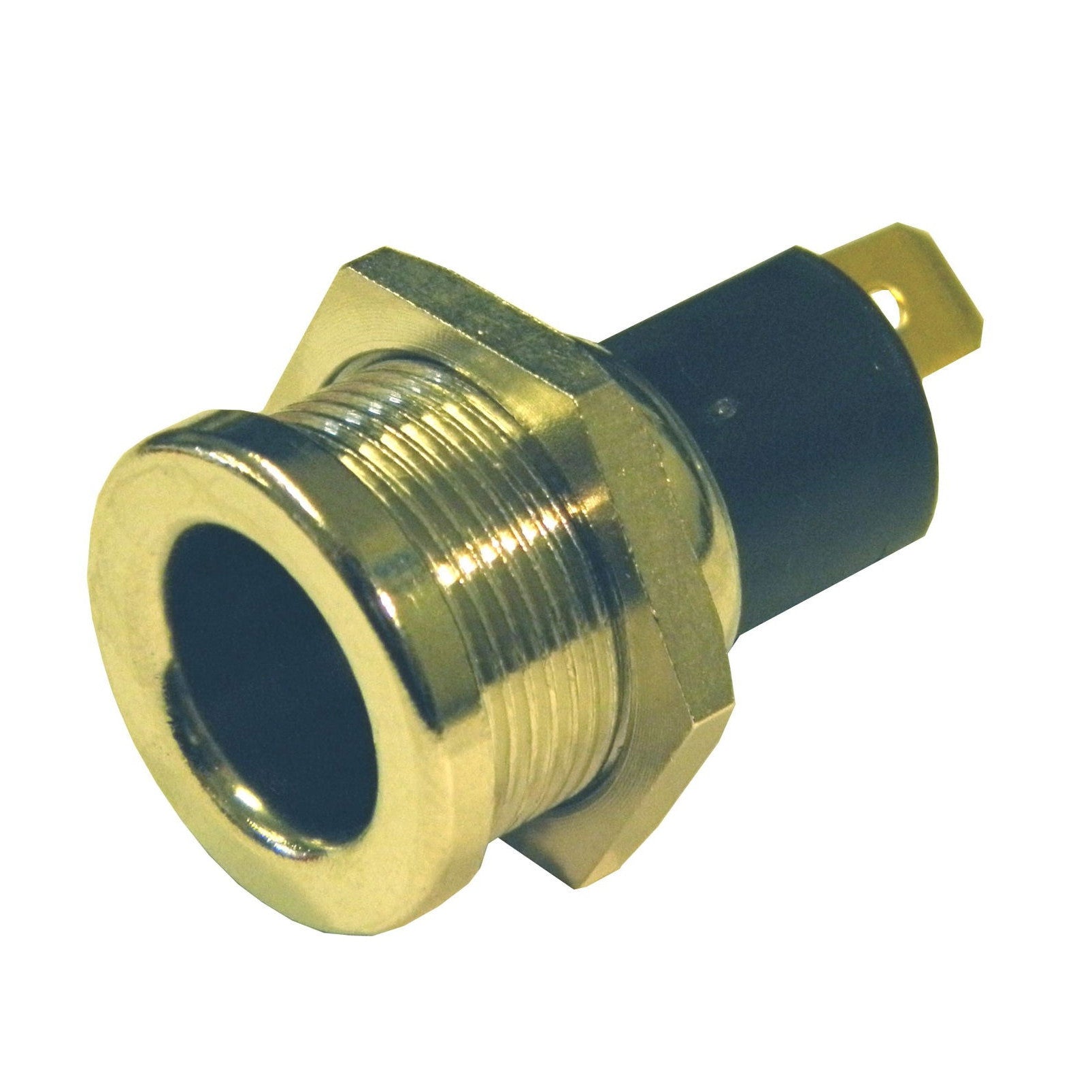 Single Pole Plugs